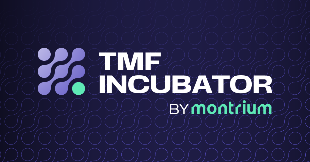 Montrium's TMF Incubator 2025
