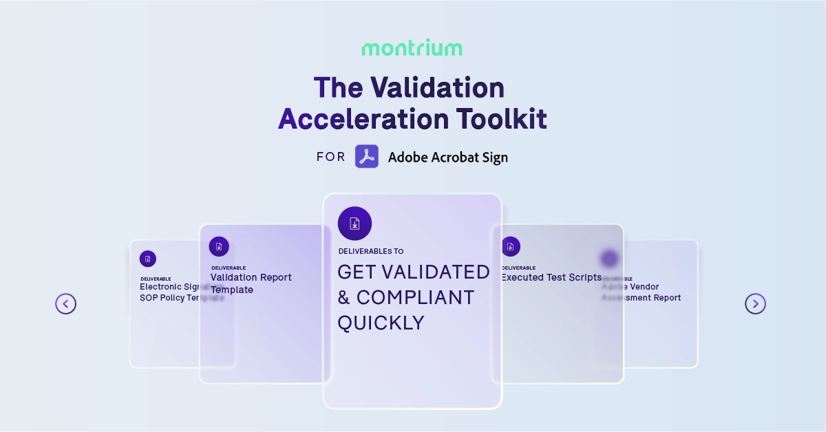 Adobe Acrobat Sign Validation Service